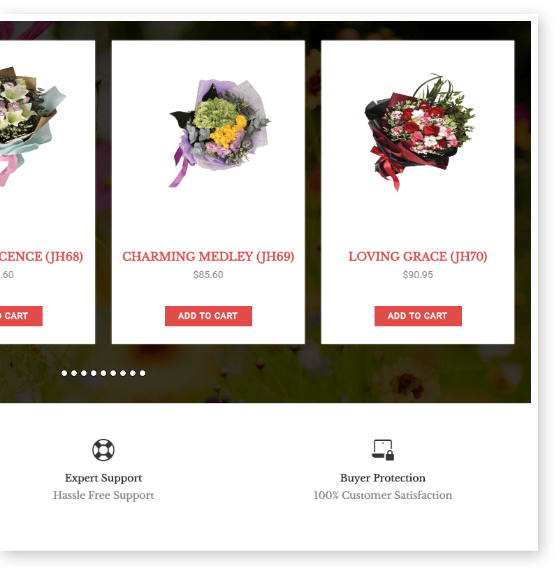 Ecommerce Web Design company | Custom Web Development Singapore